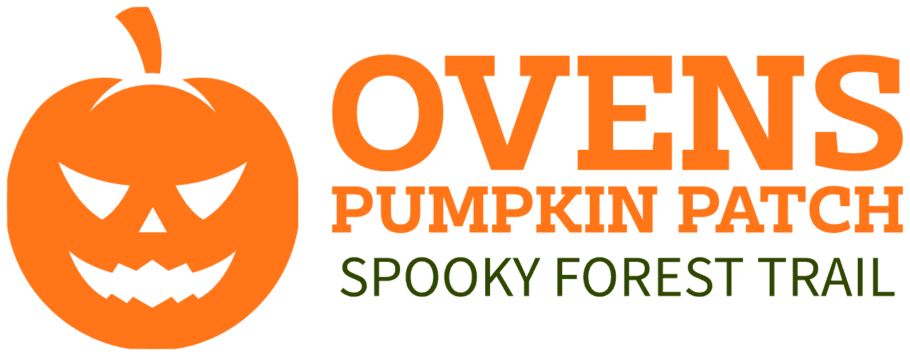 Pumpkin Patch Cork – Ovens Pumpkin Picking 2025 | Where To Get Pumpkins ...